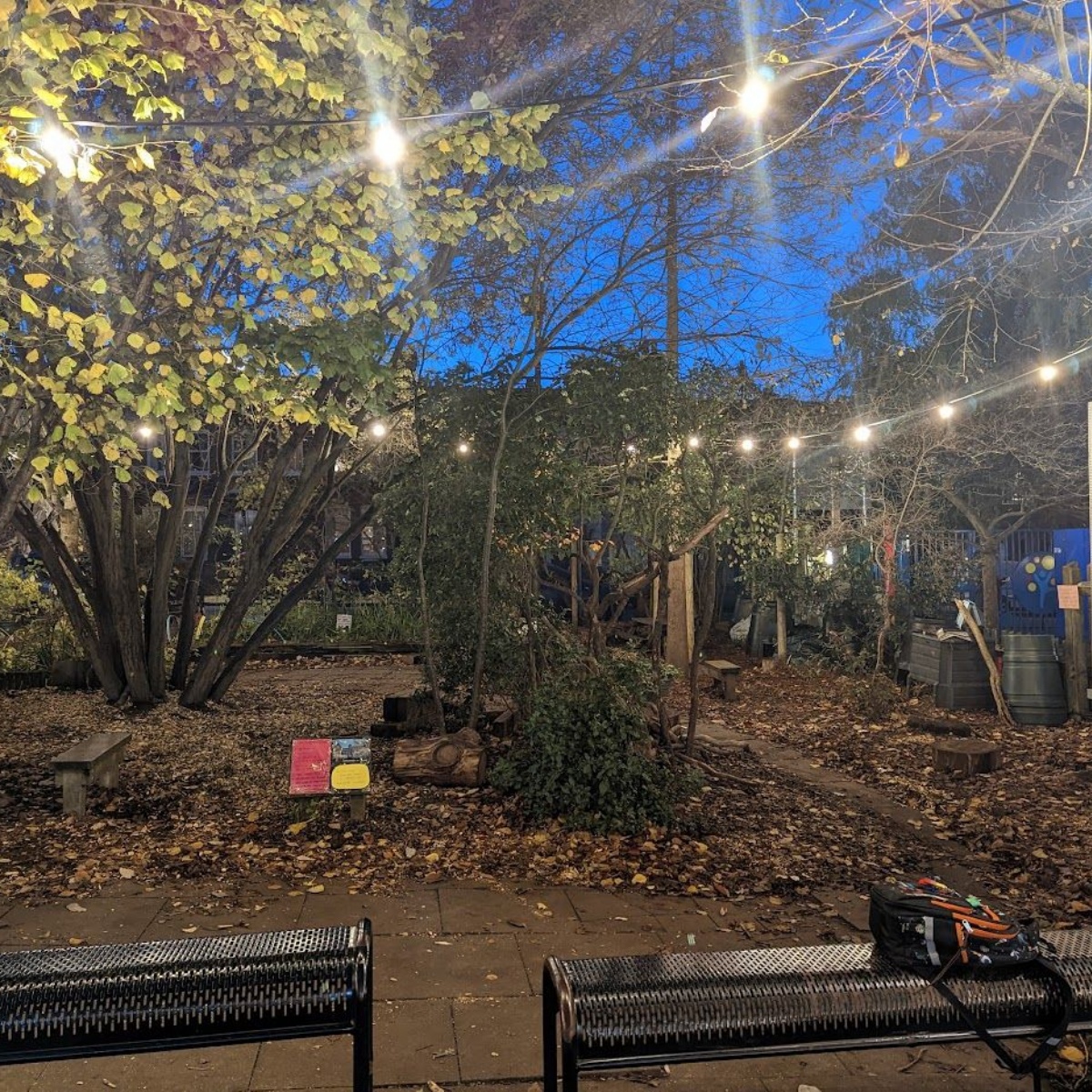 Kilmorie Primary School - Festoon Lights