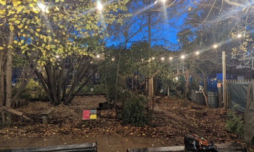 Kilmorie Primary School - Festoon Lights